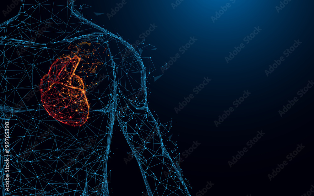 Poster Human heart anatomy form lines and triangles, point connecting ...