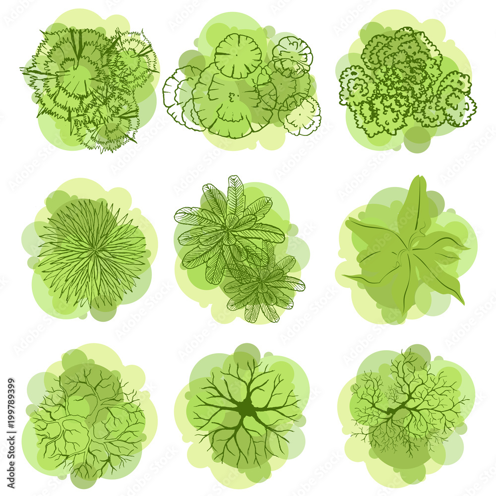 Trees top view for landscape vector illustration. Stock Vector | Adobe ...