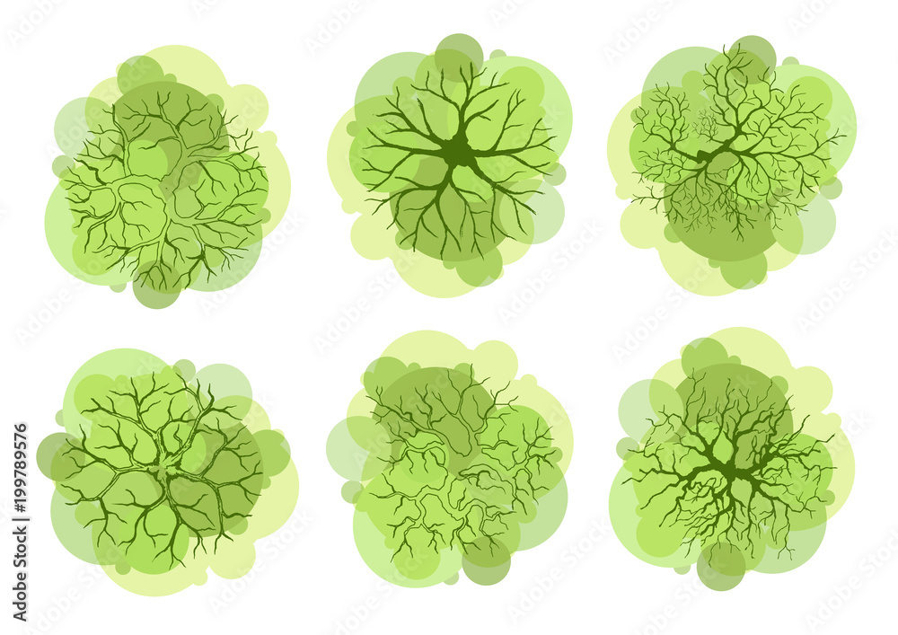 Trees top view for landscape vector illustration. Stock Vector | Adobe ...