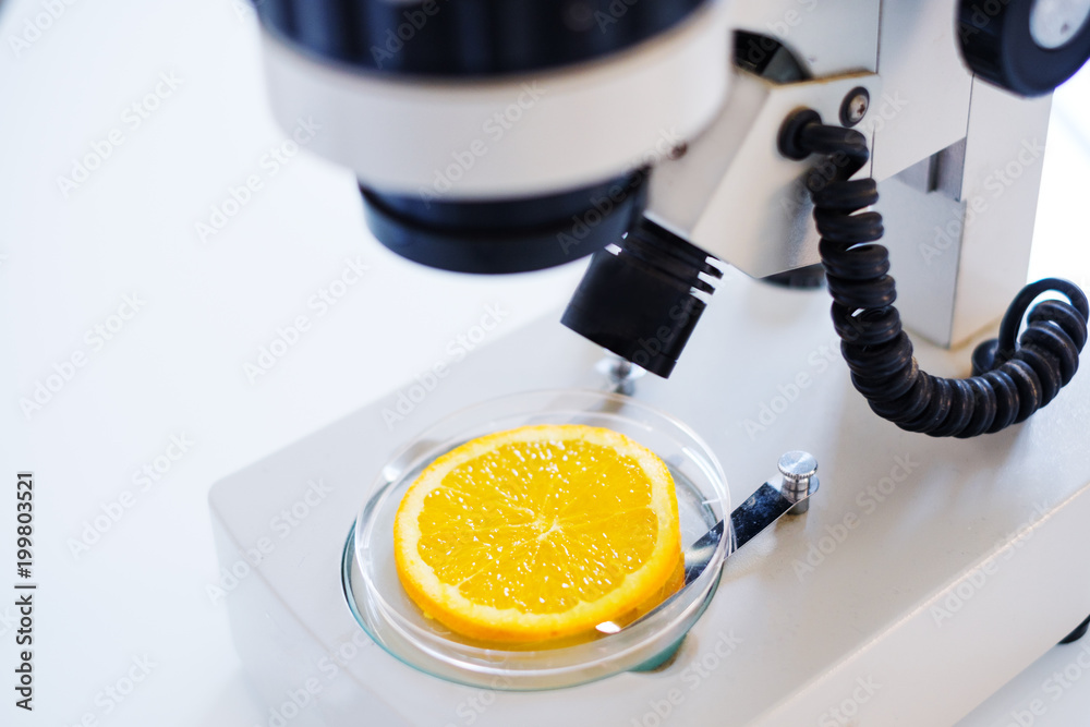 Orange fruit sample quality control in laboratory microscope analysis ...