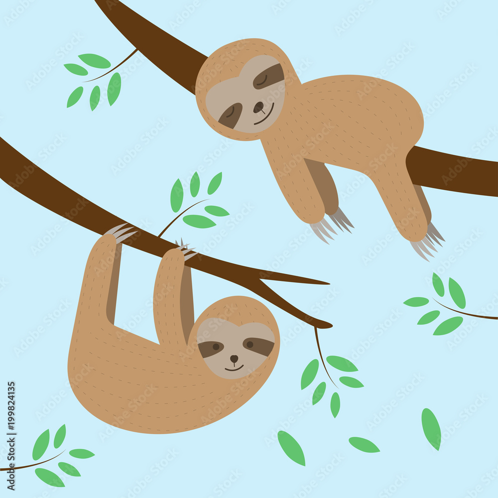 Hanging Sleeping Sloth