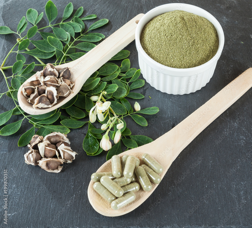 the tree of life-Moringa oleifera medicinal plant Stock Photo | Adobe Stock