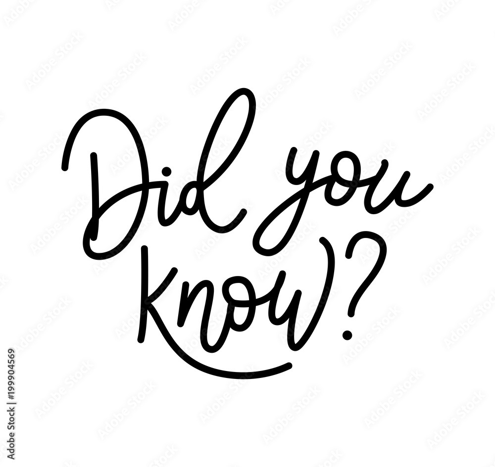 Did you know. Hand monoline Lettering text. Vector illustration ...