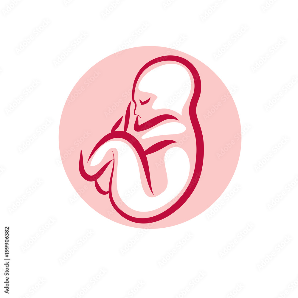 Vector embryo illustration isolated on white. New life beginning ...