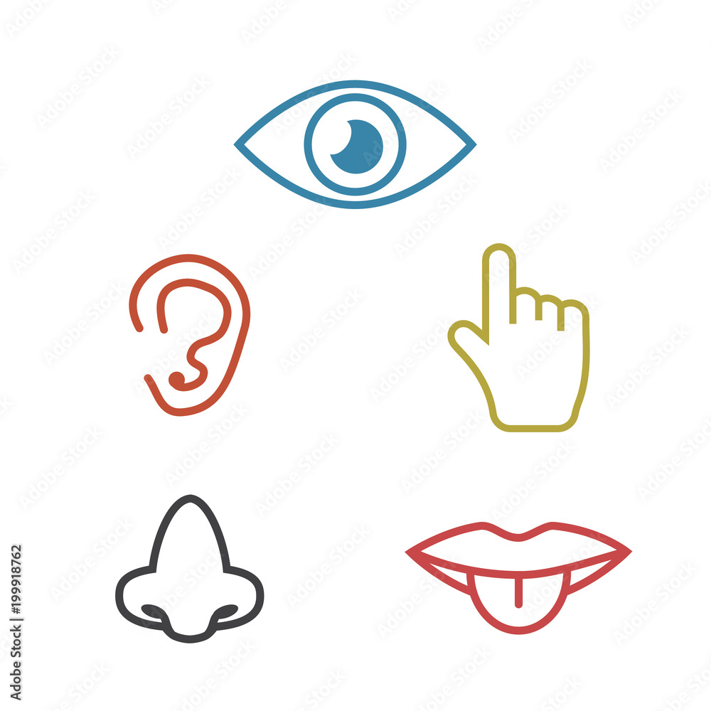 Icon human senses: vision, smell, hearing, touch, taste. Icons sense ...