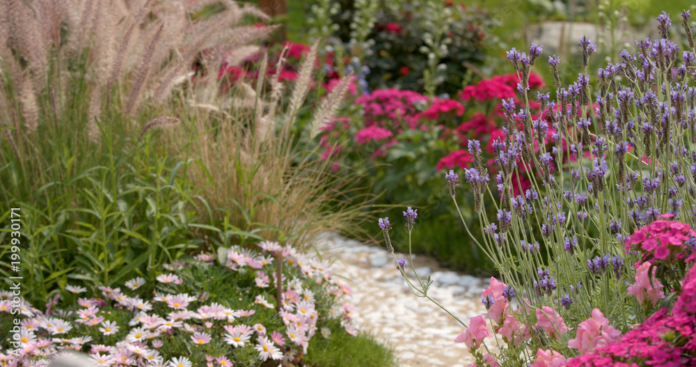 Beautiful garden park and stone road Stock Photo | Adobe Stock