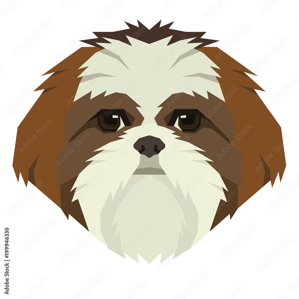 Dog collection Shih Tzu Geometric style Avatar icon Stock Vector ...