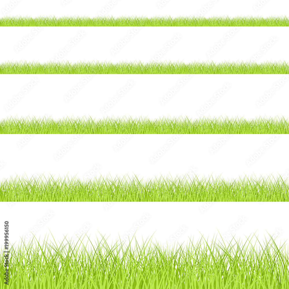 Grass border seamless pattern set, spring collection isolated on ...