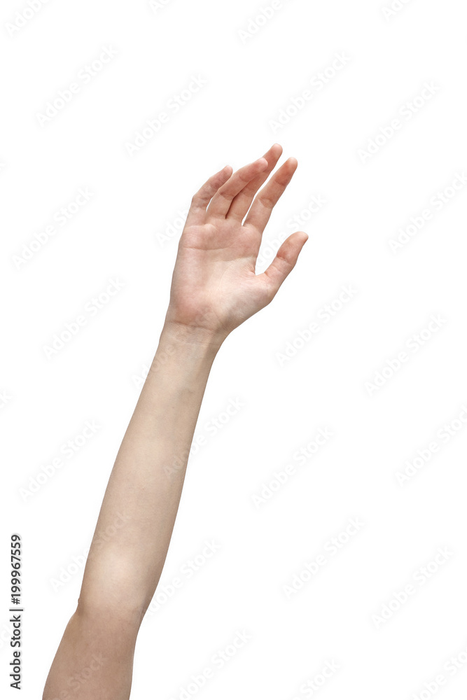 Female hand reaching out on isolated background Stock Photo | Adobe Stock