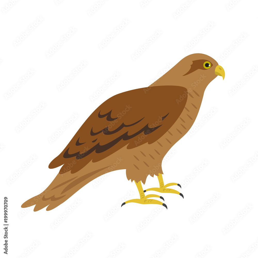 Cartoon hawk icon on white background. Stock Vector | Adobe Stock
