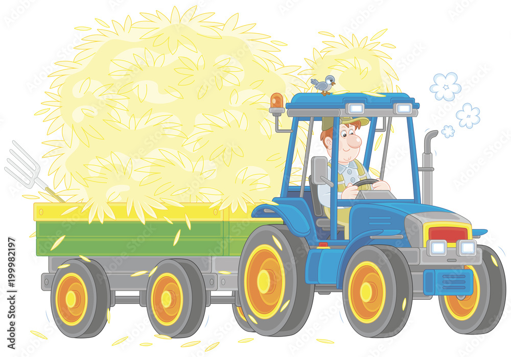 Smiling farmer driving his wheeled tractor with a trailer of hay, a ...
