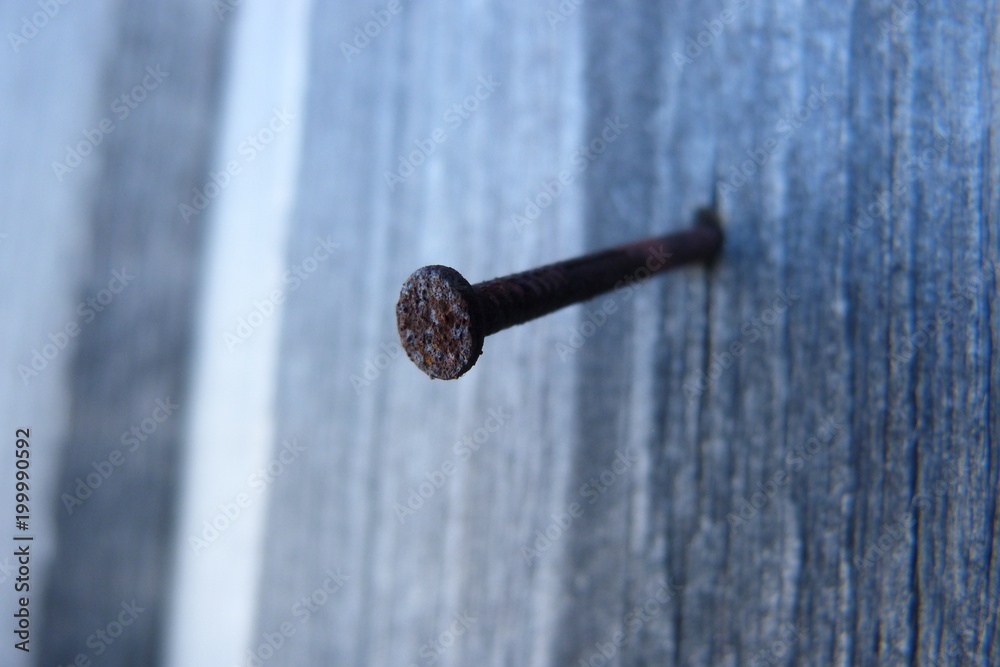 Rusty Nail In Wood