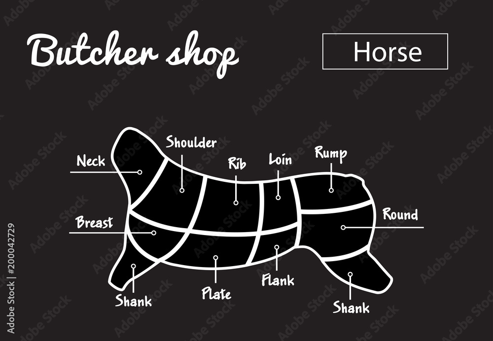 Scheme of cutting horse meat with cutting lines. Design for butcher ...