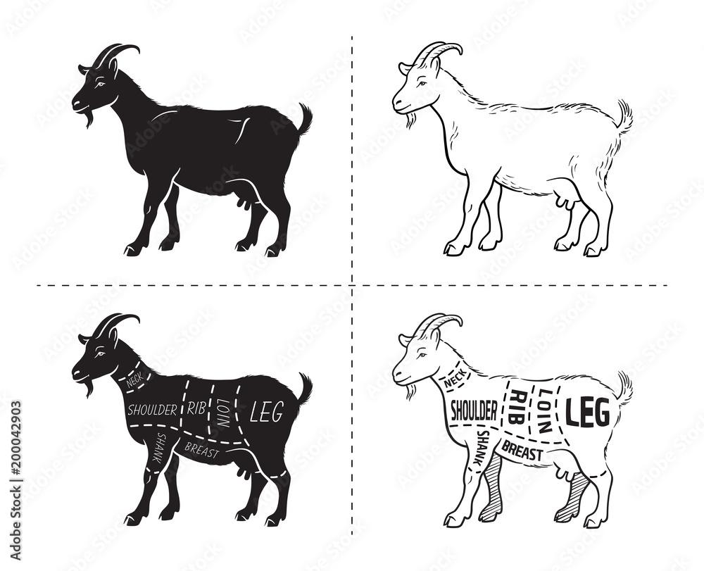 Vector illustration goat cuts diagram or chart. Goat black silhouette ...