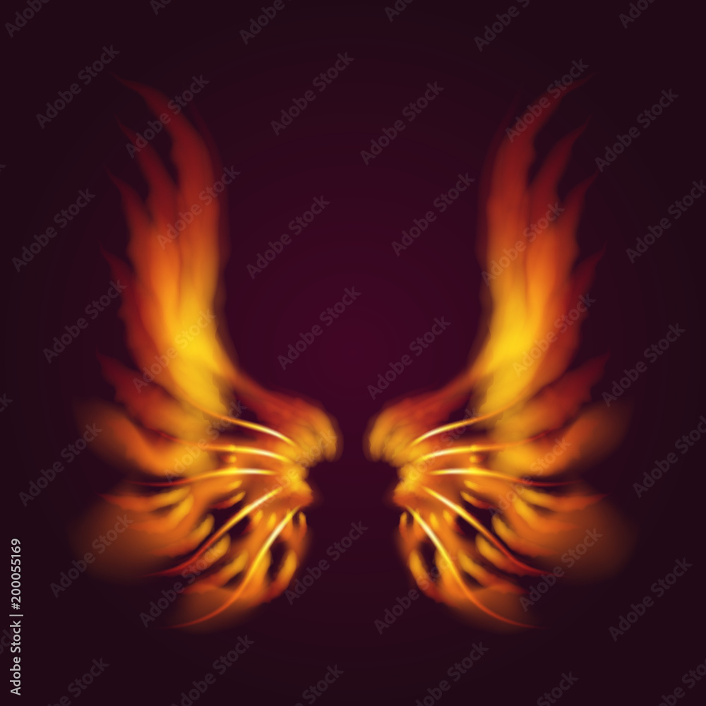 Bird fire wings vector fantasy feather burning fly mystic glow fiery ...