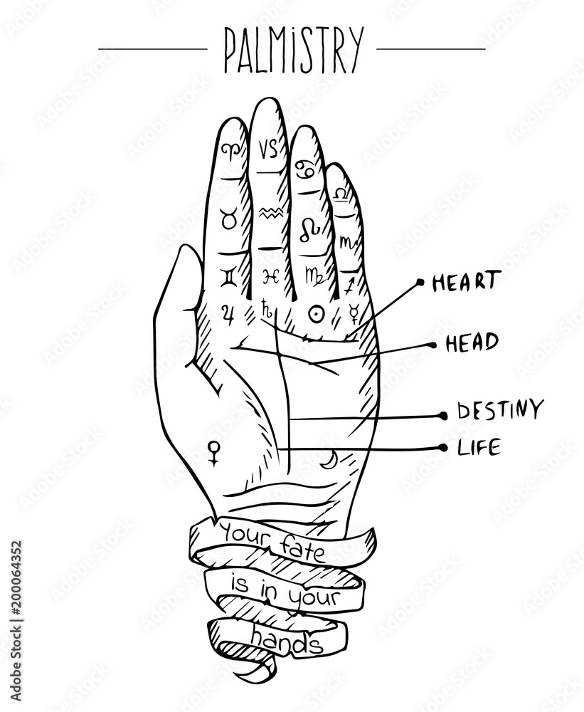 Hand drawn vector illustration of hand and palmistry scheme. Black ...