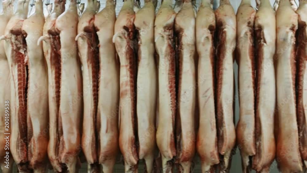 many chopped fresh raw pork meat hanging arrange and processing deposit ...