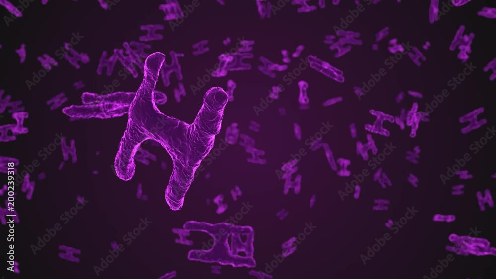 Abstract purple virus cells under microscope Stock Video | Adobe Stock