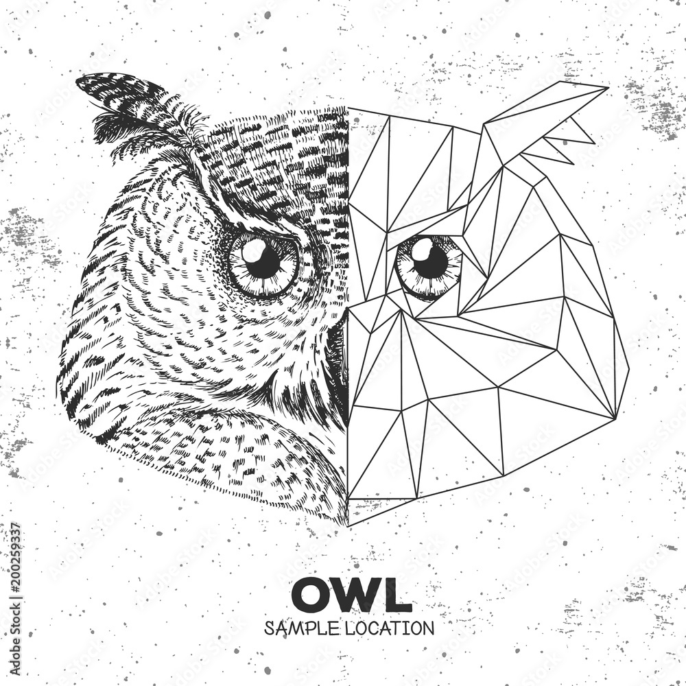 Hipster animal realistic and polygonal owl face. Triangle animal Stock ...
