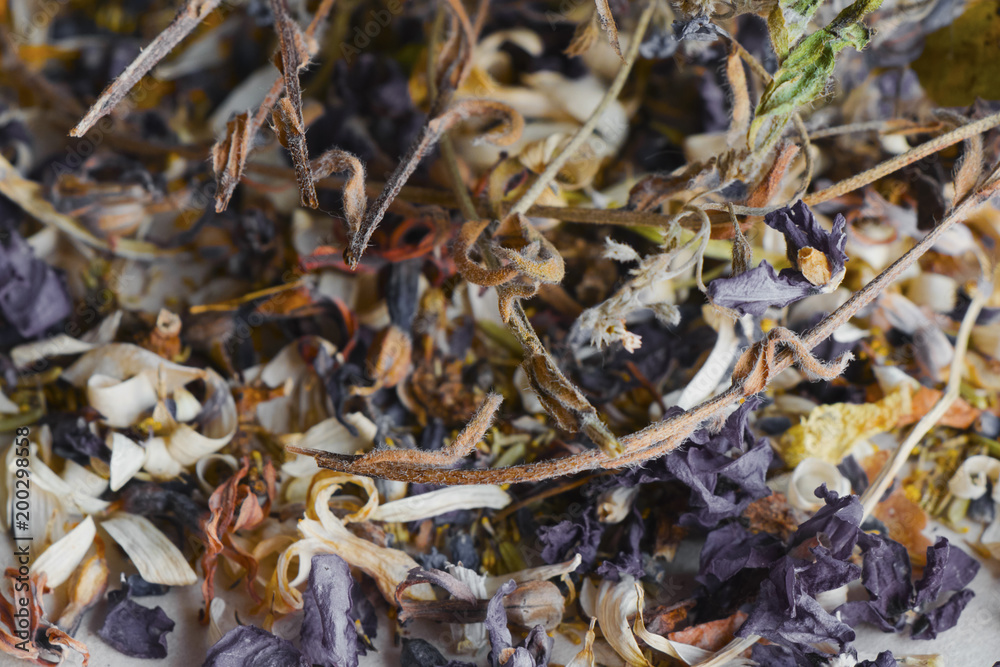 dry Flowers and dry plants for tea Stock Photo | Adobe Stock