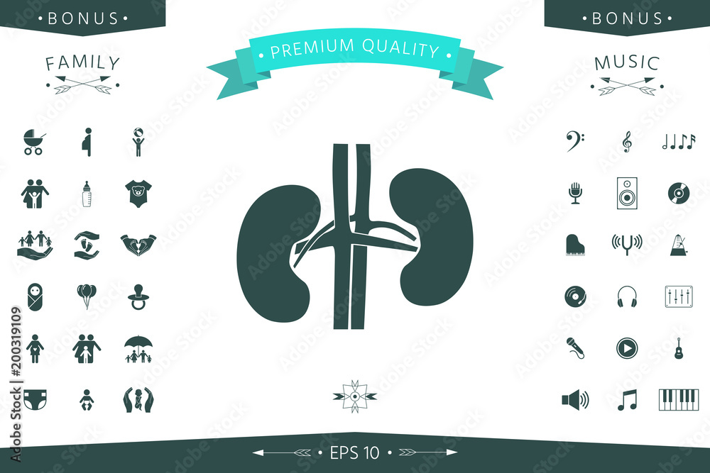 Human organs. Kidney icon Stock Vector | Adobe Stock