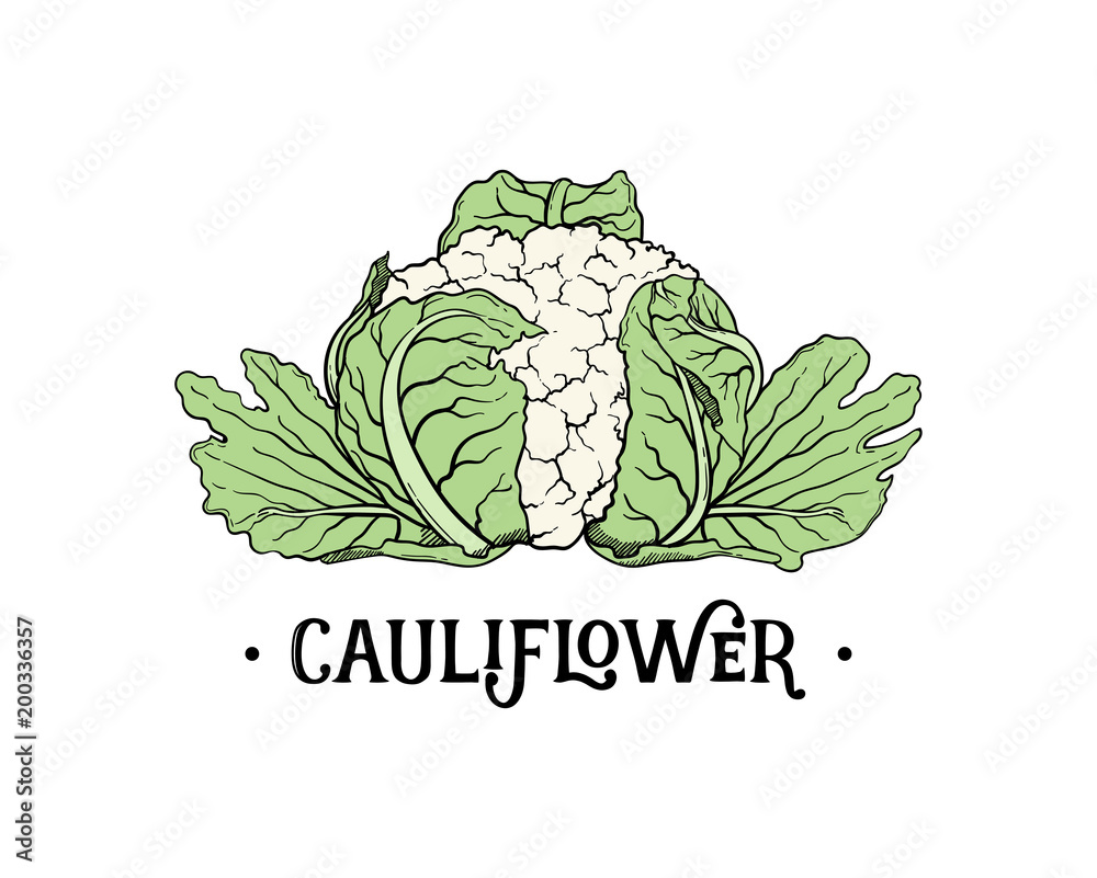 Cauliflower Drawing