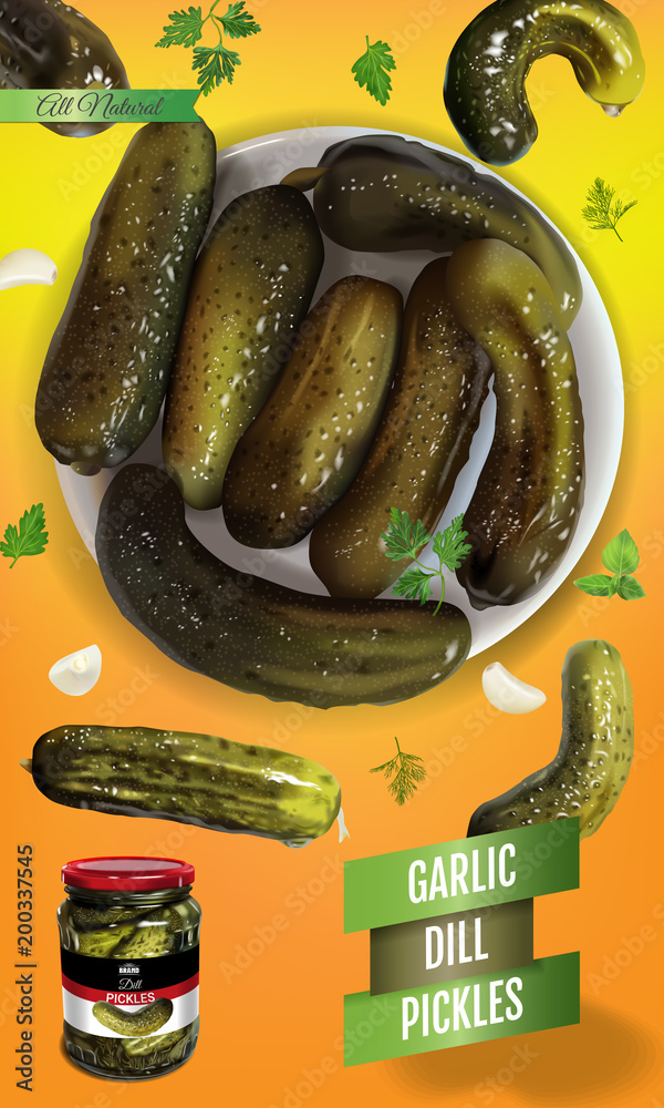 Vector realistic illustration of pickled cucumber. Vertical banner with ...