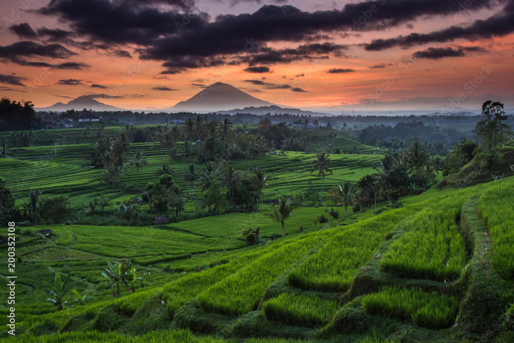 The Jatiluwih rice fields have been named a UNESCO Cultural Landscape ...