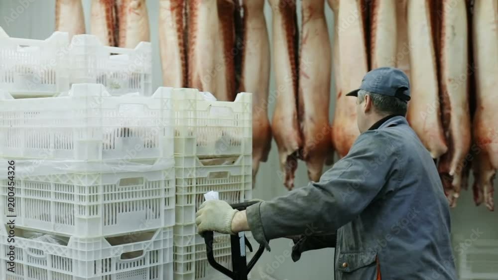 The meat factory slaughterhouse worker carrying transport boxes with ...