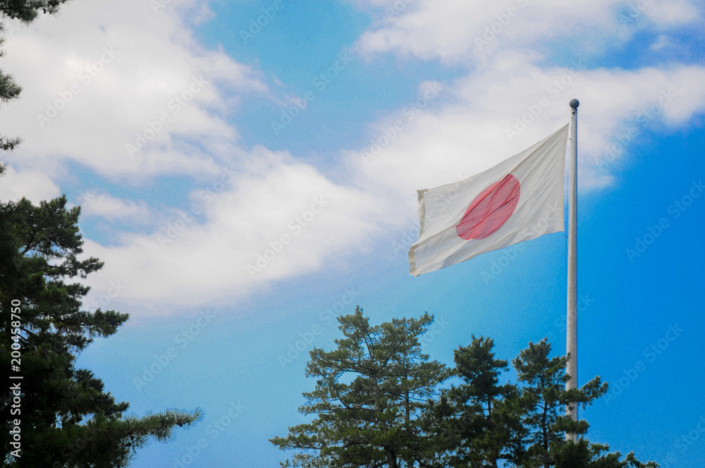 Japanese Flag in the Izumo Taisha Shrine in Shimane, Japan. To pray ...
