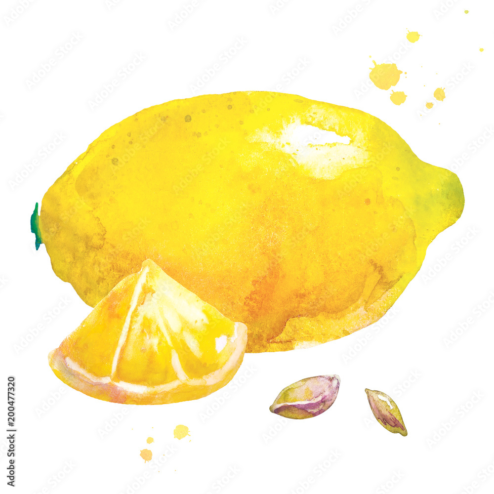 Lemon and slice in watercolor style. Cute handwritten Illustration with ...