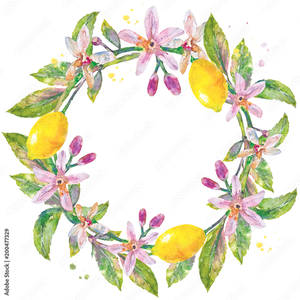 Lemon wreath in watercolor style. Cute handwritten Illustration with ...