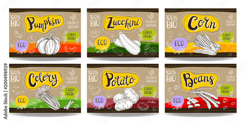 Set of hand drawn food labels, spices labels, fruit labels, vegetable ...