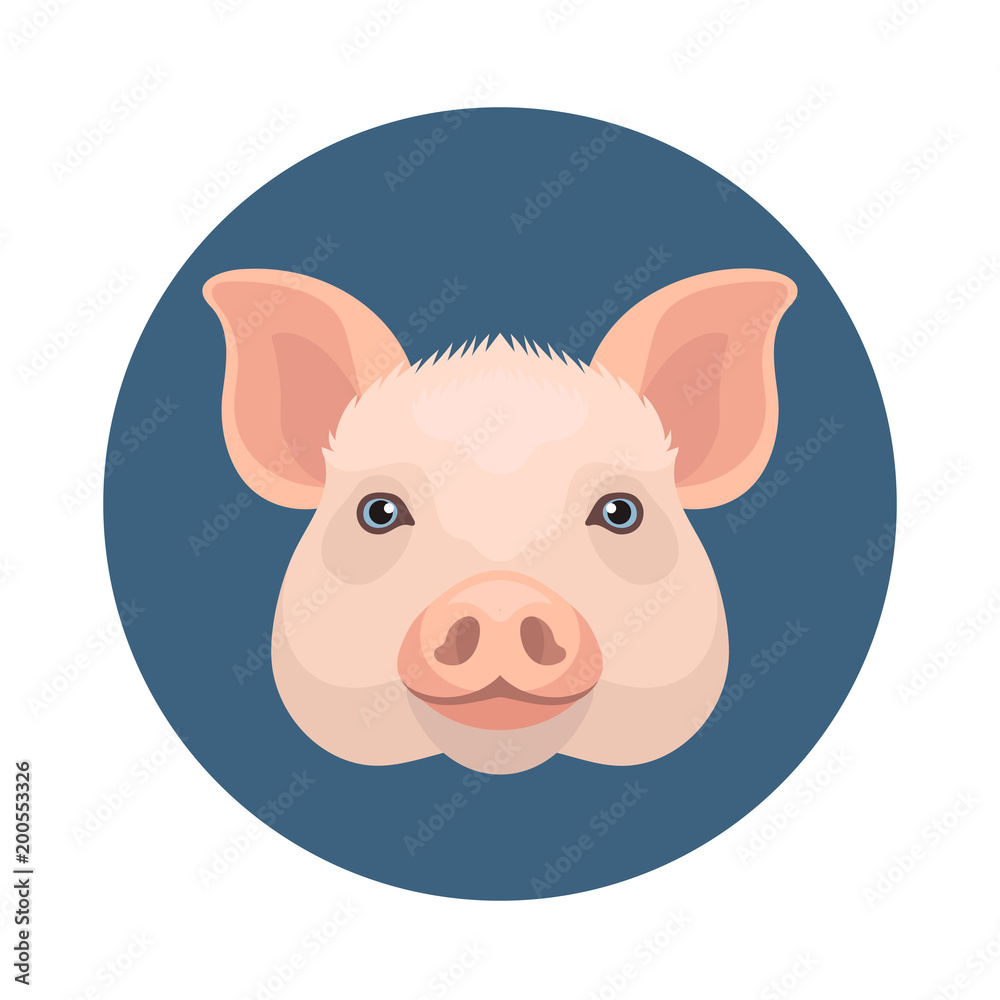 Vector simple flat style cute pig face farm animal icon simbol of new ...