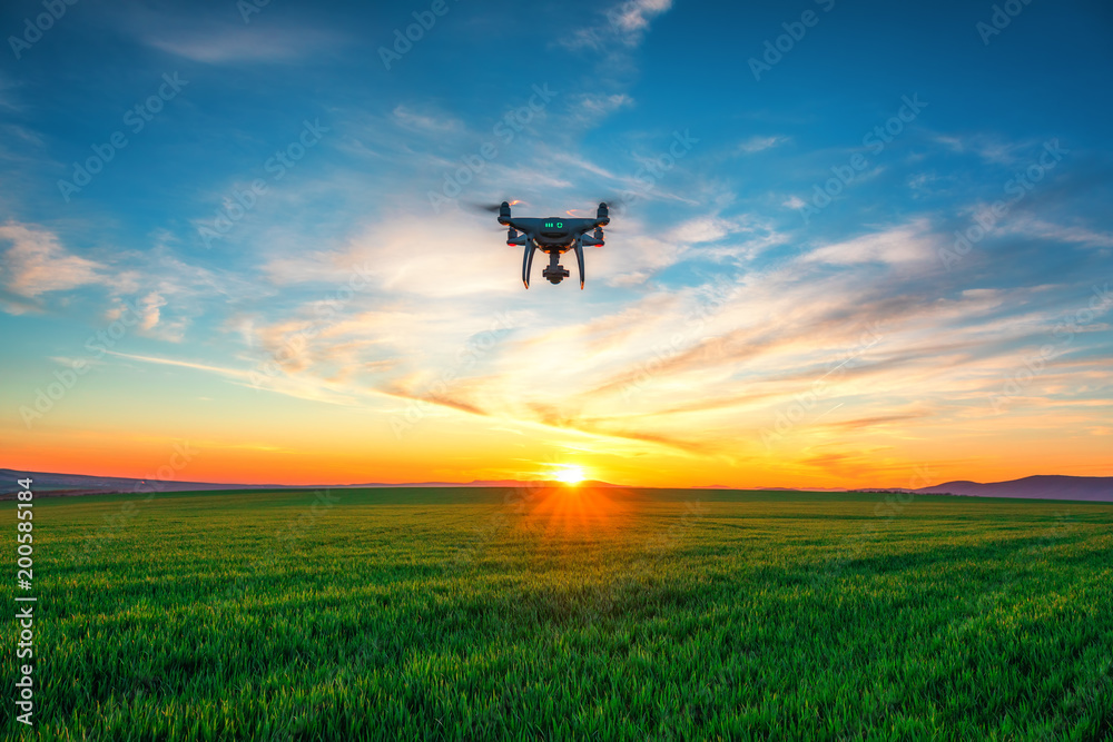 Flying drone against sunset and green wheat field Stock Photo | Adobe Stock
