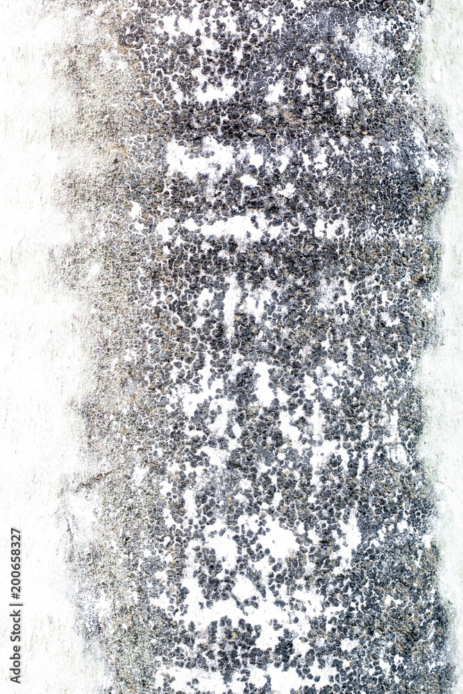 spiders, massing, baby, background, nest, yellow, garden, nature, macro ...