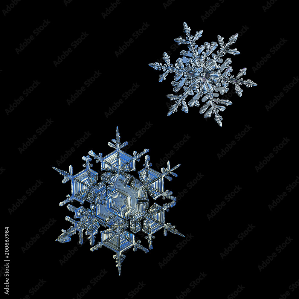 Two snowflakes isolated on black background. Macro photo of real snow ...