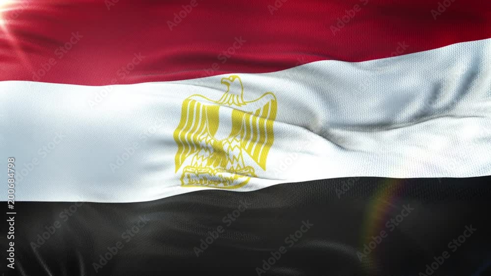 Flag of Egypt waving on sun. Seamless loop with highly detailed fabric ...