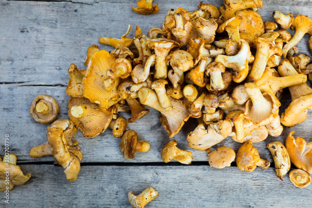 Viele frische Pfifferlinge Stock-Foto | Adobe Stock