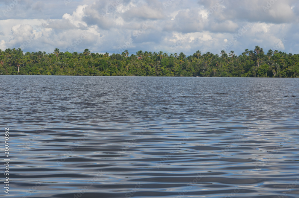 Landscape of the treeline of the Amazon rainforest, from the Amazon ...