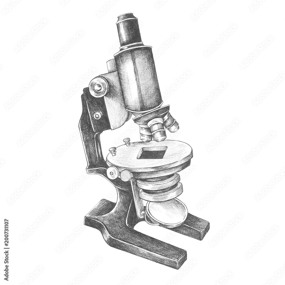 Hand drawn microscope isolated on background Stock Illustration | Adobe ...