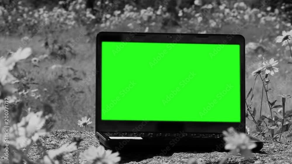 Laptop Green Screen in the Grass. Black and White. Zoom Out. You can ...