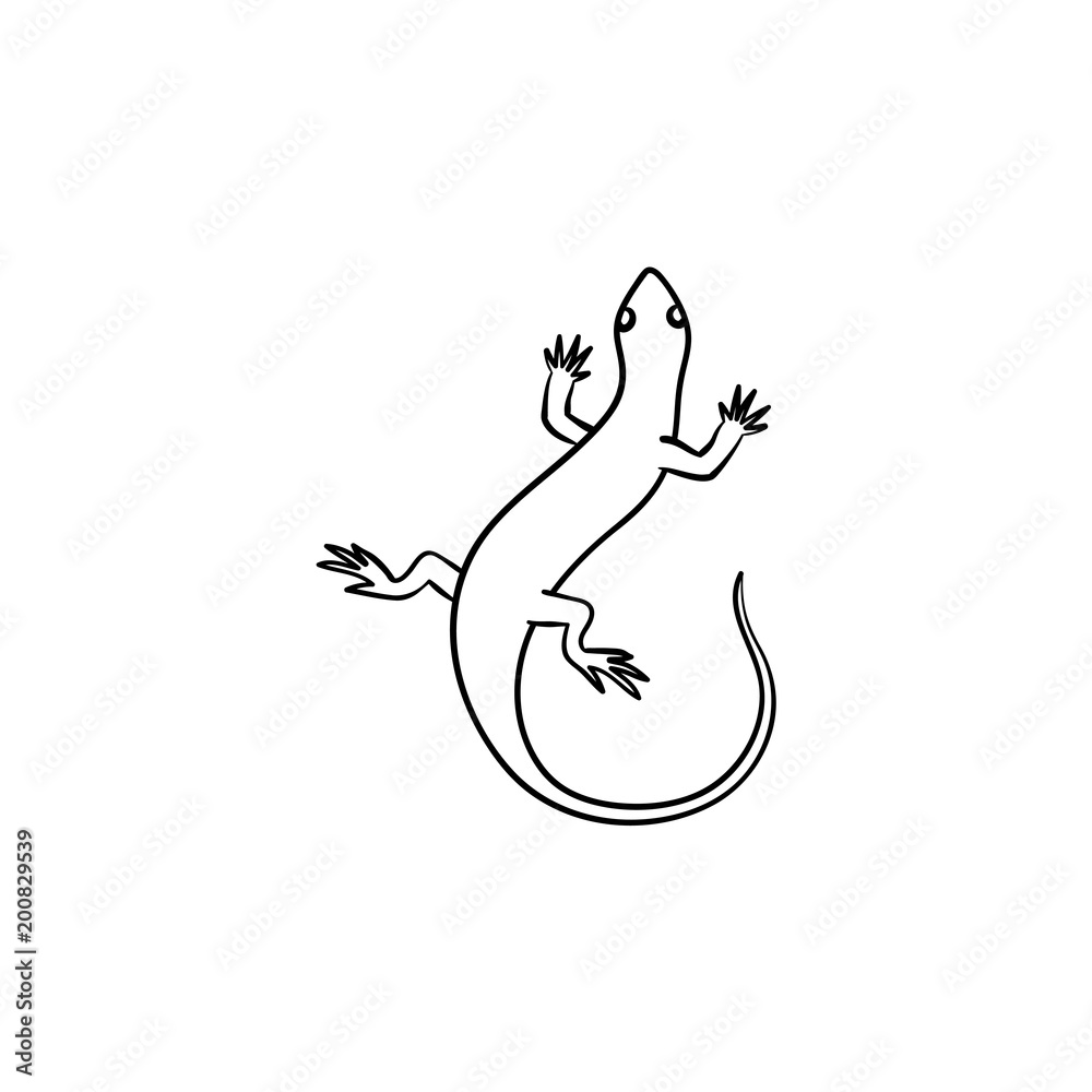 Salamander hand drawn outline doodle icon. Vector sketch illustration ...
