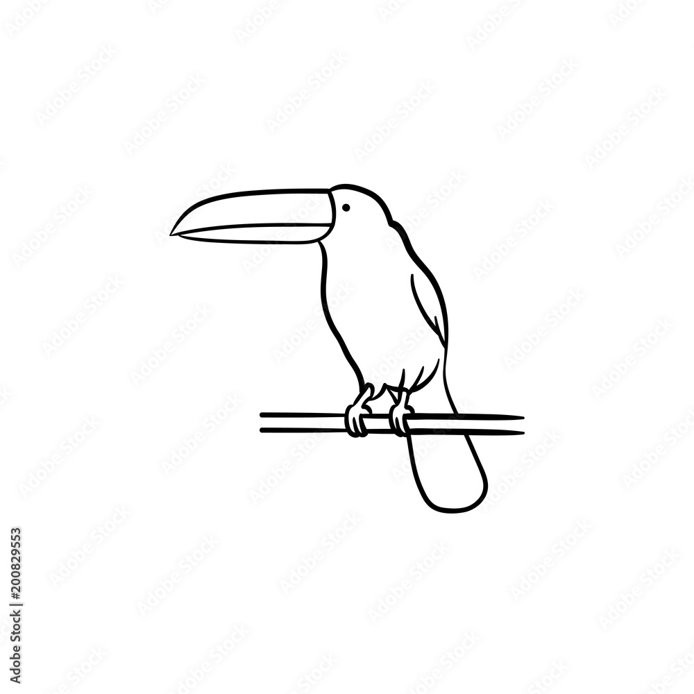 Toucan hand drawn outline doodle icon. Exotic bird -toucan vector ...