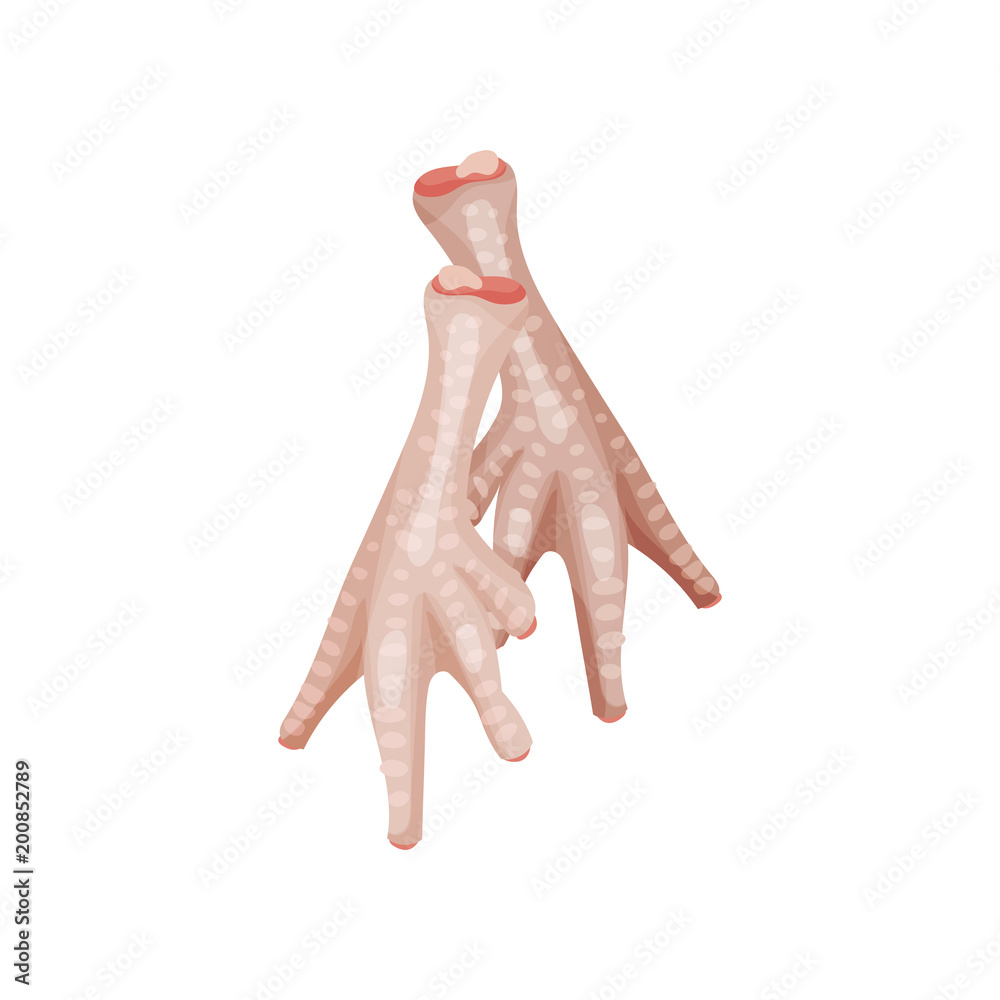 Raw chicken feet, parts of chicken carcass vector Illustration on a ...