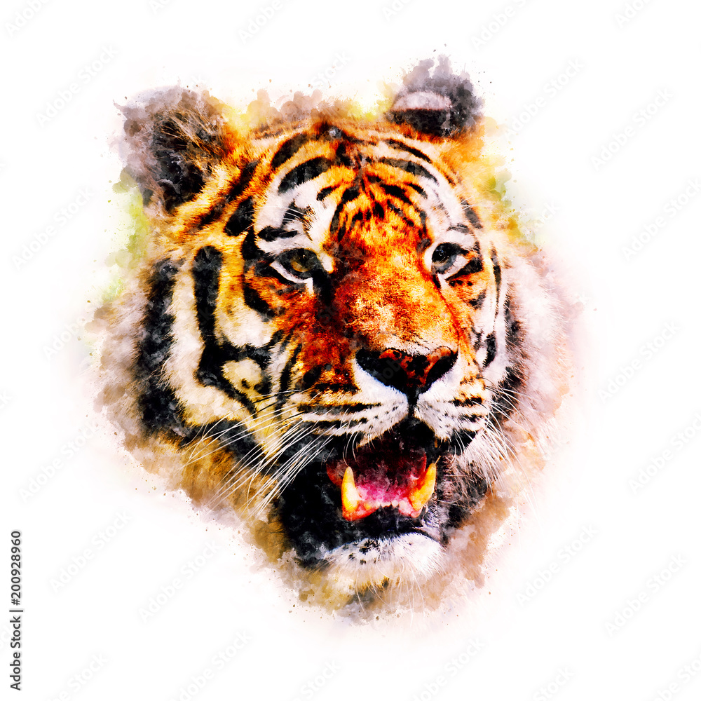 Tiger Watercolor painting Art Stock Illustration | Adobe Stock