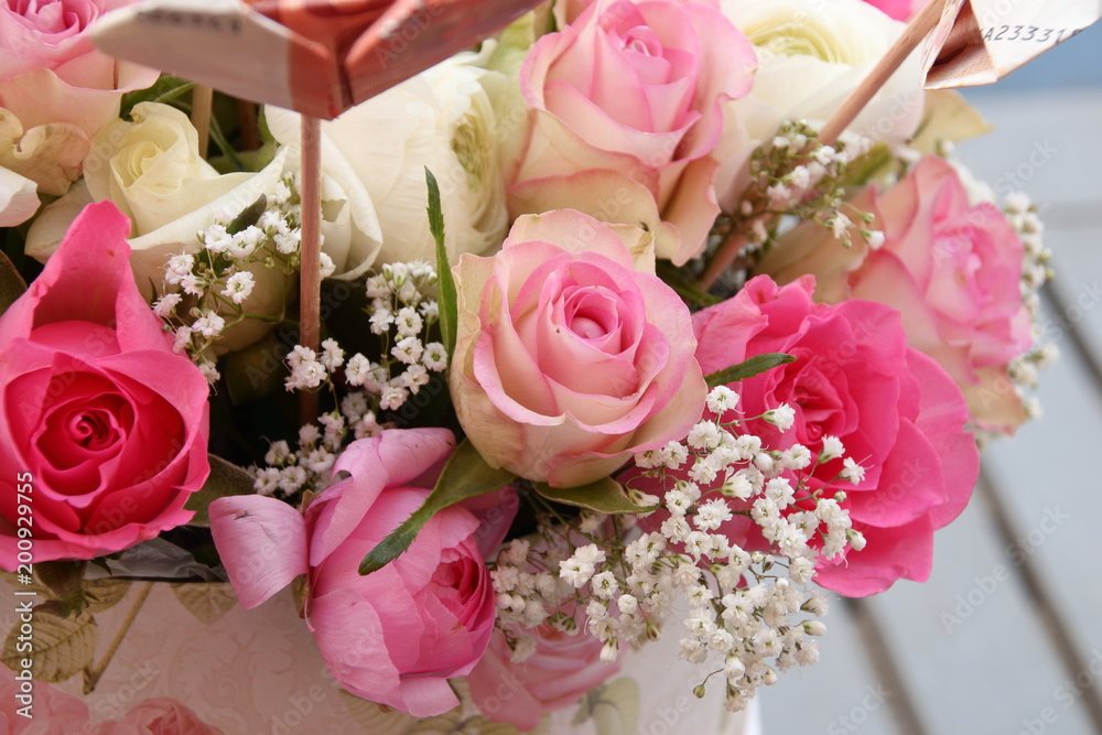 Rosengesteck Stock Photo | Adobe Stock