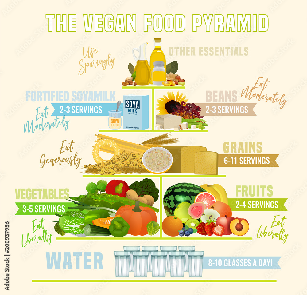 The vegan food pyramid Stock Vector | Adobe Stock
