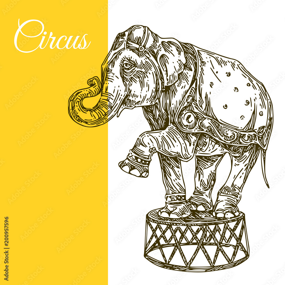 Vintage Circus Elephant Vector