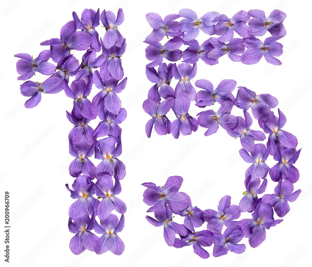 Arabic numeral 15, fifteen, from flowers of viola, isolated on white ...